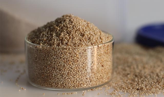 Little Millet: Health Benefit And Nutritional Facts | AskNestlé